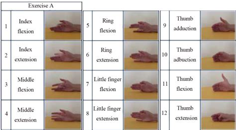 Figure 8 From Hand Gesture Recognition Using Compact Cnn Via Surface Electromyography Signals
