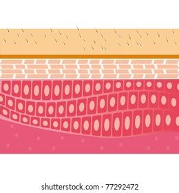 Hundred Horny Surface Royalty Free Images Stock Photos Pictures Shutterstock