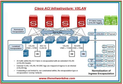 Understanding The Physical Requirements Of A Cisco ACI Solution The Network DNA