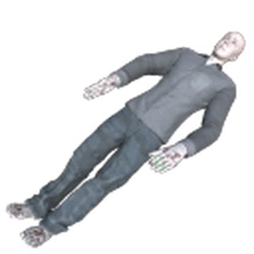 File DiscordSpectator Png SCP Secret Laboratory Hub Wiki