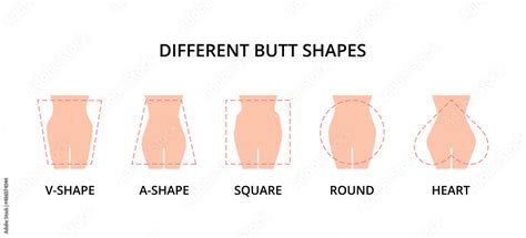 Five Different Butt Shapes Vector Illustration Human Body Female Figure Style Fashion And