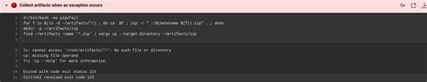 Collect Artifacts When An Exception Occurs CI Step Fails When No