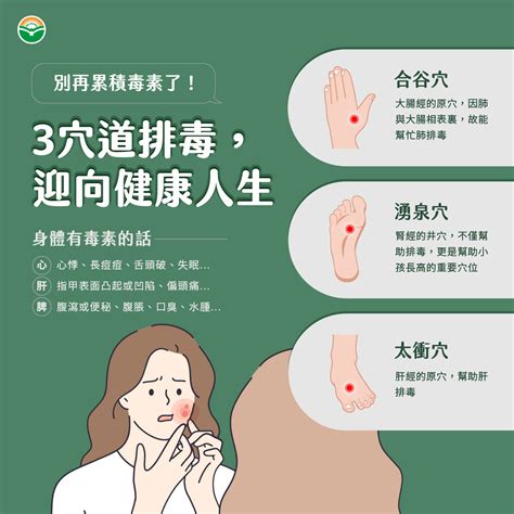 五臟毒素爆多症狀曝醫推最強5招排毒1點前要睡 ETtoday健康雲 ETtoday新聞雲