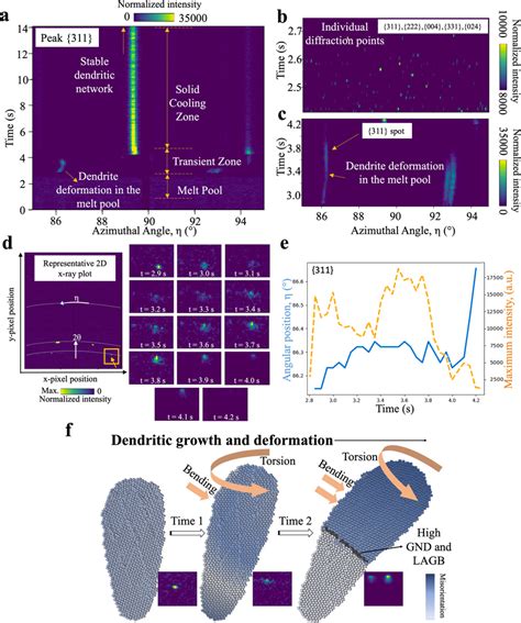 Deformation Modes In Growing Dendrites During Solidification A Download Scientific Diagram