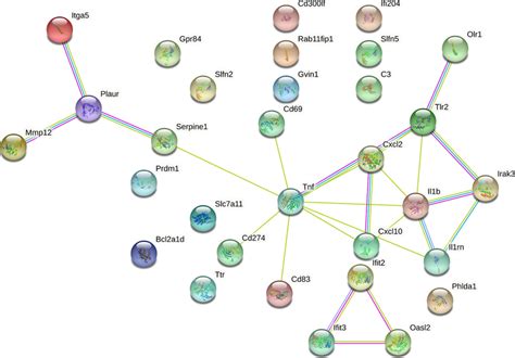 Ppi Analysis Using String String Analysis Was Performed On The 32