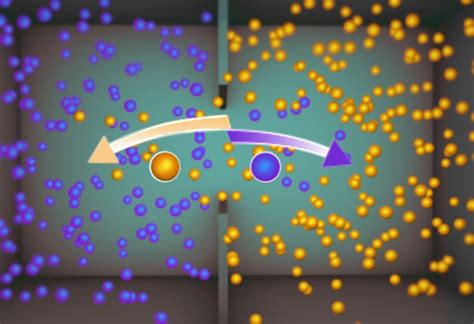 Diffusion In Gases MEL VR Science Simulations