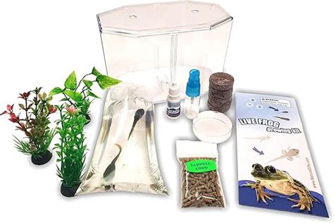 Amazon Com Tadpole To Frog Starter Kit Includes Certificate For Live Tadpoles All In One