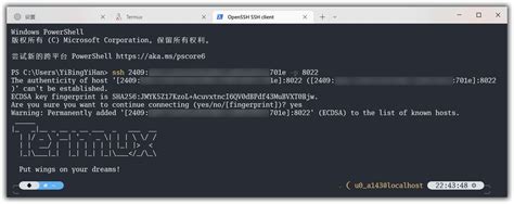 termux 公网ipv6 域名 ssh访问 ssh ipv6 csdn博客