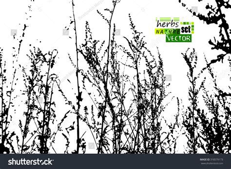 Background Tracing Grass Vector Stock Vector Royalty Free 318579173 Shutterstock
