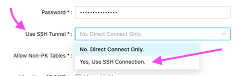 Ssh Tunnel Setup For Hosted Database Systems