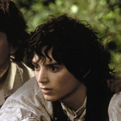 Sam And Frodo 22 Frodo The Hobbit Lord Of The Rings