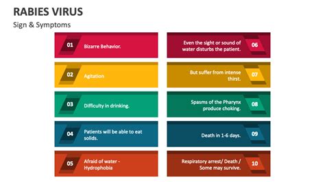 Rabies Virus Powerpoint And Google Slides Template Ppt Slides