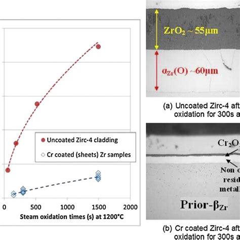 Comparison Between The Respective High Temperature Steam Oxidation