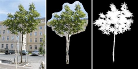 Alpha Matting Of An Image Using The Closed Form Matting Algorithm By