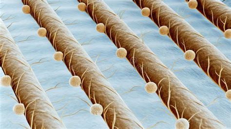 A Detailed Microscopic Image Of A Substrate Surface Illustrating The Uniformity And Texture Of A