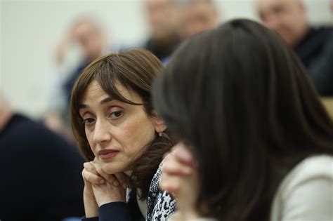 ქართული ოცნება Georgian Dream პოლიტიკური გაერთიანება ქართული ოცნება დემოკრატიული