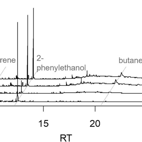 Gas Chromatograph Traces Comparing Headspace Volatiles Collected From