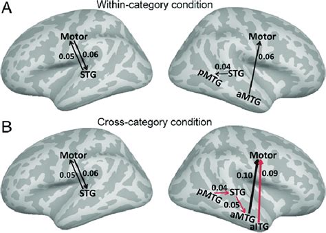 Granger Causality Gc Analysis Across All Categorically Responsive Download Scientific Diagram