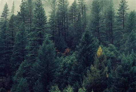 Alpine Spine And Orthopedics Contact Us Today