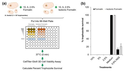 Inactivation Activities Of Formalin And Isotonic Formalin At Different Download Scientific