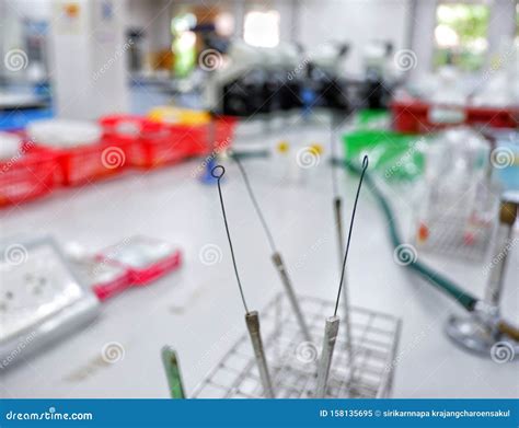 The Inoculating Loop Stock Image Image Of Biological 158135695