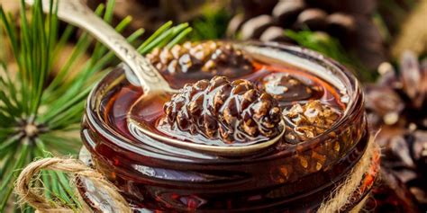 Как приготовить варенье из шишек — полезный десерт с лесным ароматом — Лайфхакер Десерты Идеи