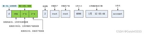 Linux 的基本使用 Csdn博客
