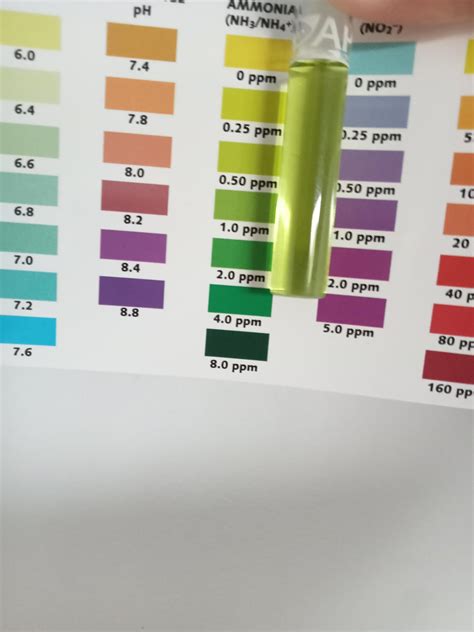 Ammonia Level Been Cycling For About 2 Weeks R Aquariums