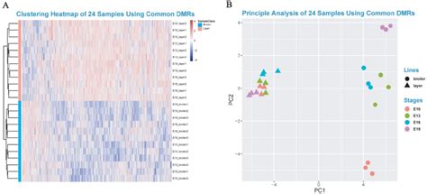 Heatmap Clustering Analysis And Pca Analysis A Heatmap Clustering
