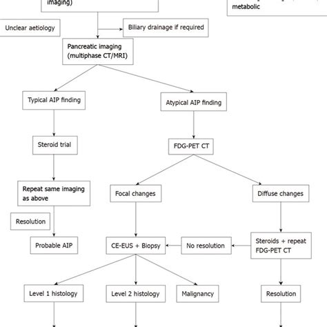 suggested diagnostic algorithm for autoimmune pancreatitis in