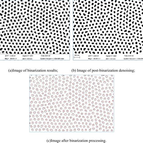 Binarization Processing Of The Membrane Download Scientific Diagram