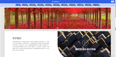 茶文化网站设计程序开题报告开题报告源码）茶文化网页建设定位 Csdn博客