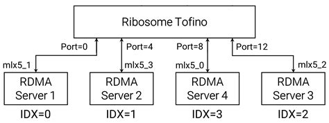 GitHub Ribosome Packet Processor Ribosome RDMA Server Agent Ribosome RDMA Server Agent Code