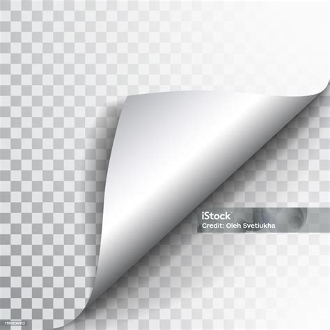 말린 모서리와 그림자가 있는 용지 페이지입니다 설계용 템플릿입니다 설정 벡터 일러스트레이션 가장자리에 대한 스톡 벡터 아트 및 기타 이미지 Istock