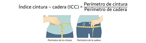 Calculadora Del Índice Cintura Cadera Icc