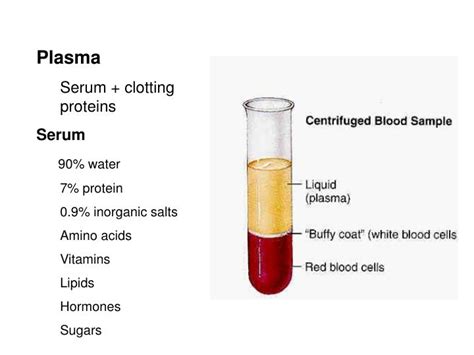 Ppt Blood Plasmaserum Cells Erythrocytes Leukocytes Platelets