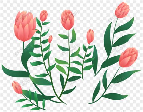 꽃과 잎 Png 일러스트 무료 다운로드 Lovepik