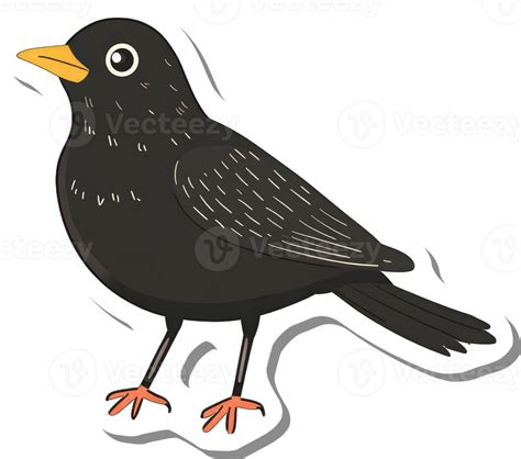 Cartoon Blackbird