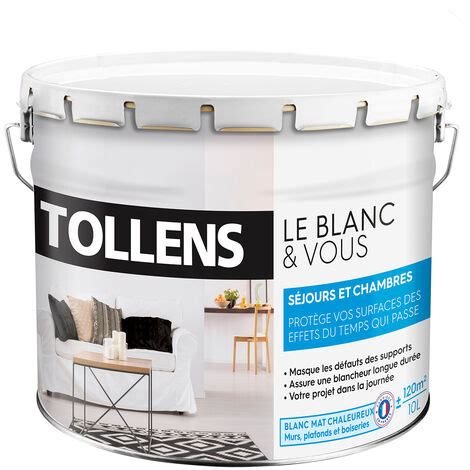 Tollens Idrotop Mat Murs Et Plafonds Couleur Blanc