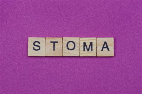 Stoma De Palabra De Letras De Madera Gris Imagen De Archivo Imagen De