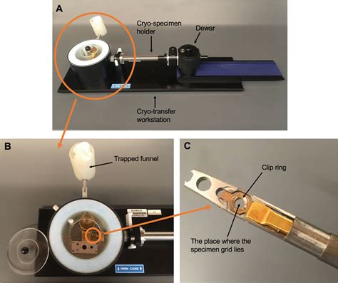 Side Entry Cryo Specimen Transfer Holder Oxford Ct 3500 Cryo Specimen