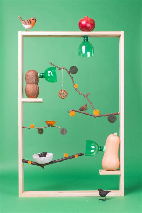 Nature Scenes Are Sculptural Still Lifes For Recording Urban Wildlife