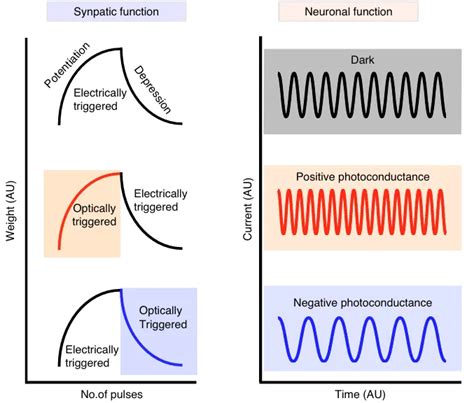 光驱动神经形态计算 逍遥科技