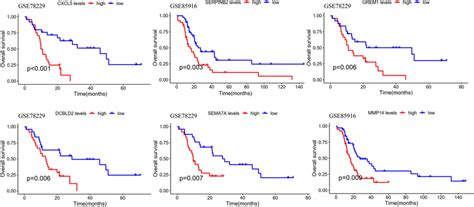 Genes Of Prognostic Value Were Validated In The Geo Database
