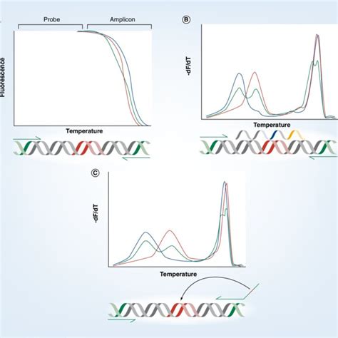 Genotyping Of Human Genetic Disorders † Download Table