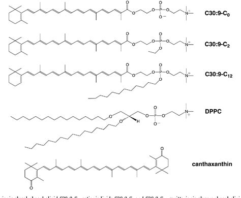 Figure 1 From Surface Properties Of Polyene Glycol Phospholipid