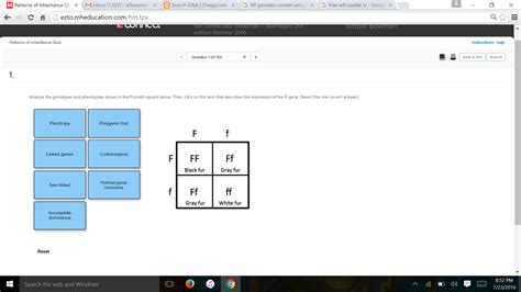 solved analyze the genotypes and phenotypes shown in the