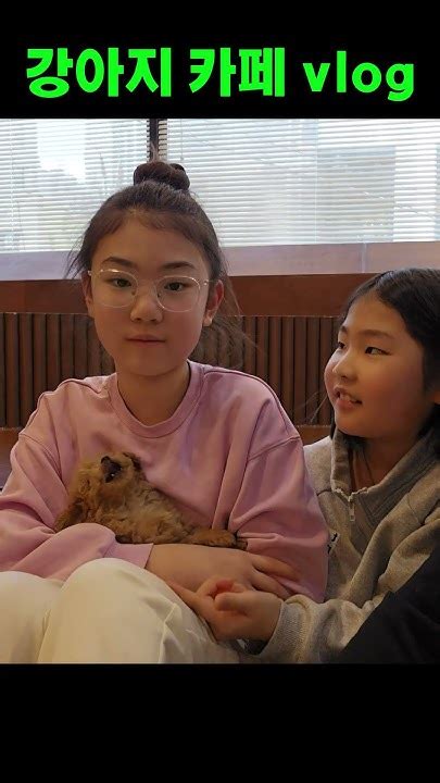 귀여운 강아지 가족 일상 강아지 Youtube