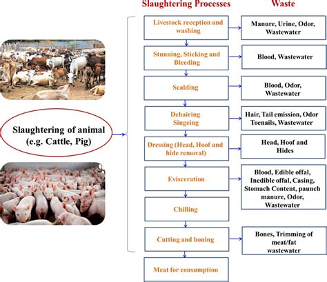Flow Chart Diagram Of Slaughtering Process And The Waste Generation