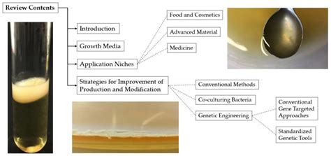 Polymers Mdpi On Linkedin Openaccess Review Polymers Mdpi On Linkedin Openaccess Review